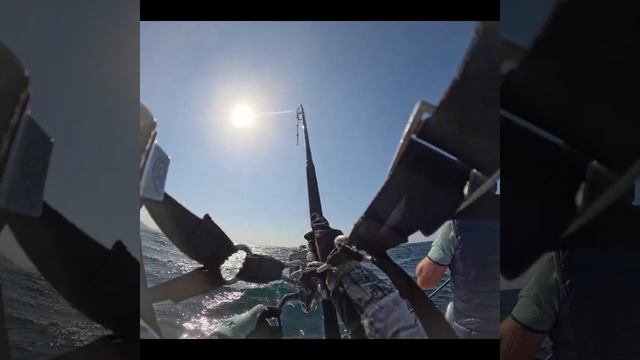 Рыбалка на тунца, Итуруп