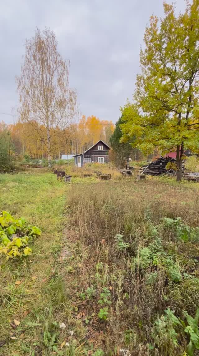 Наводим порядок на дачном участке. Стрижка деревьев и кустов. Переработка веток в мульчу измельчител