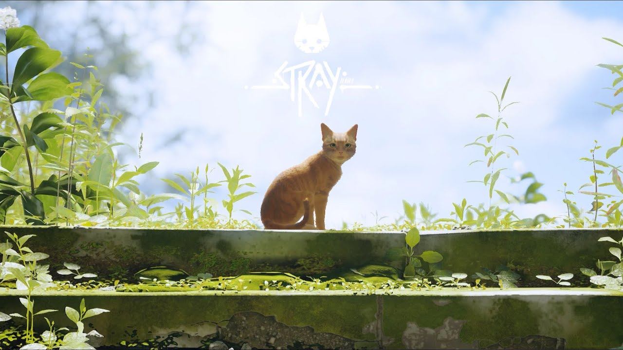 ВОЗВРАЩЕНИЕ ДОМОЙ • Stray #7