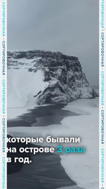 Комары добрались до Исландии — неожиданный эффект потепления