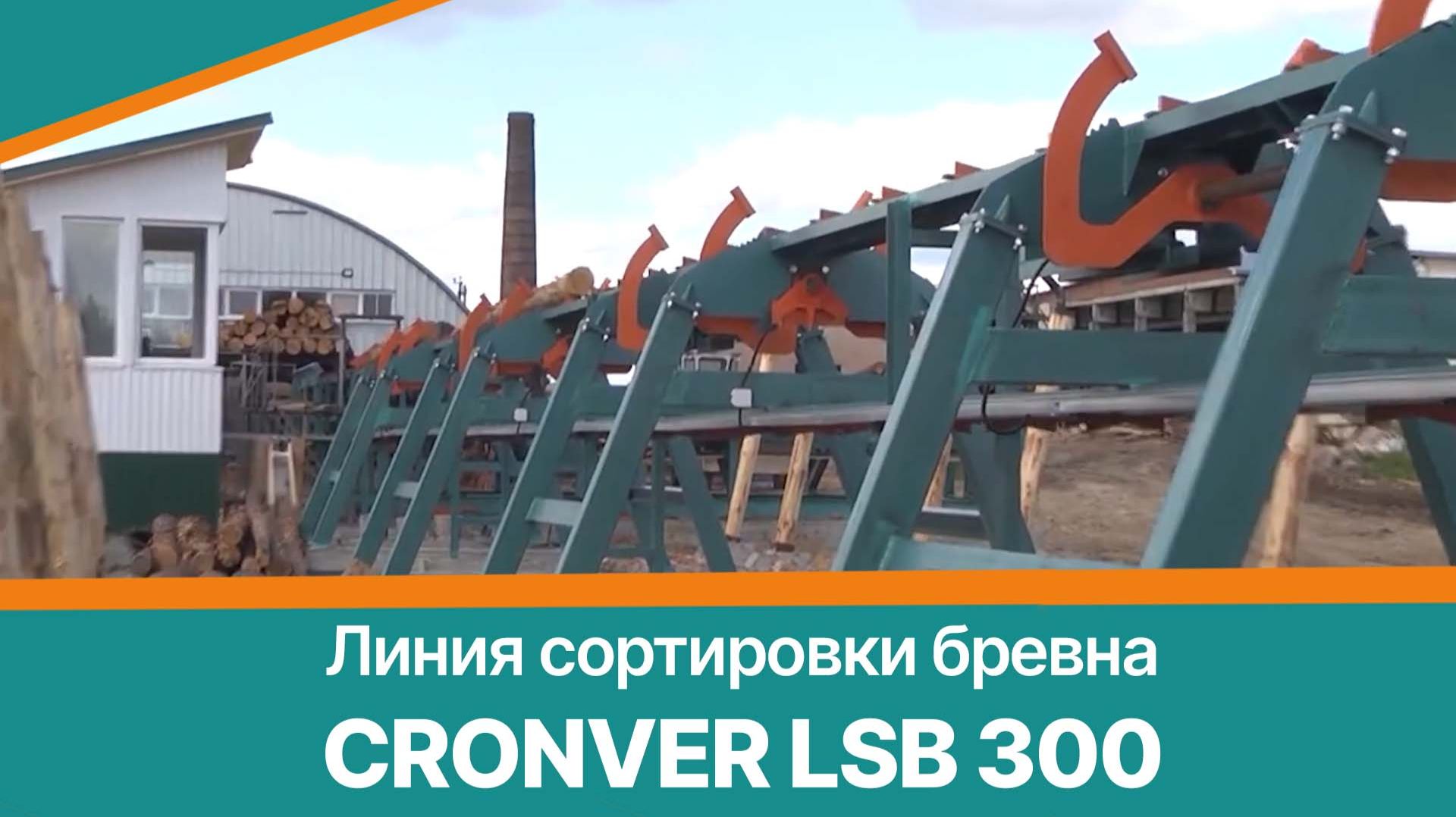 Линия сортировки бревна Cronver LSB 300