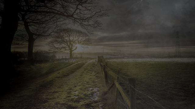 14 - On the Trail of an Ant (Reissue)