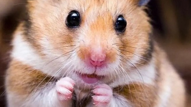 Мои запасы на конец 2025 года.