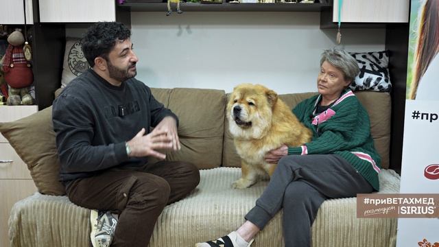 Чем отличается юниорский хендлинг от профессионального // #приВЕТАХМЕД