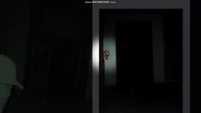 ДИМА МАСЛЕННИКОВ АНАЛИТИКА