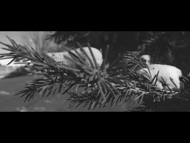 А. Мулкоев. «Вернуться в прошлое по фотографиям»