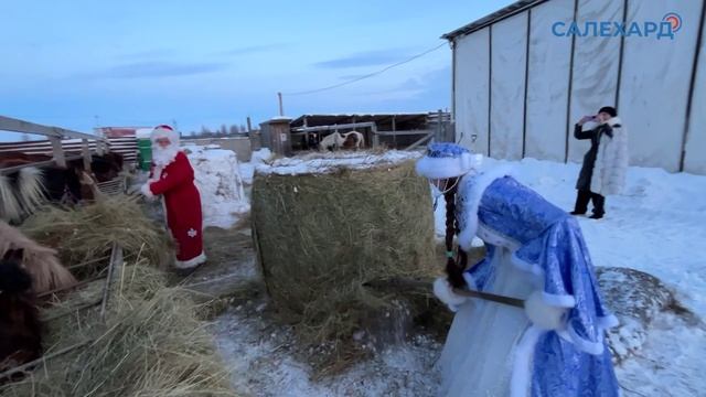 ТУ-ТУНДРА_ ПО КОНЯМ 26.12.2025