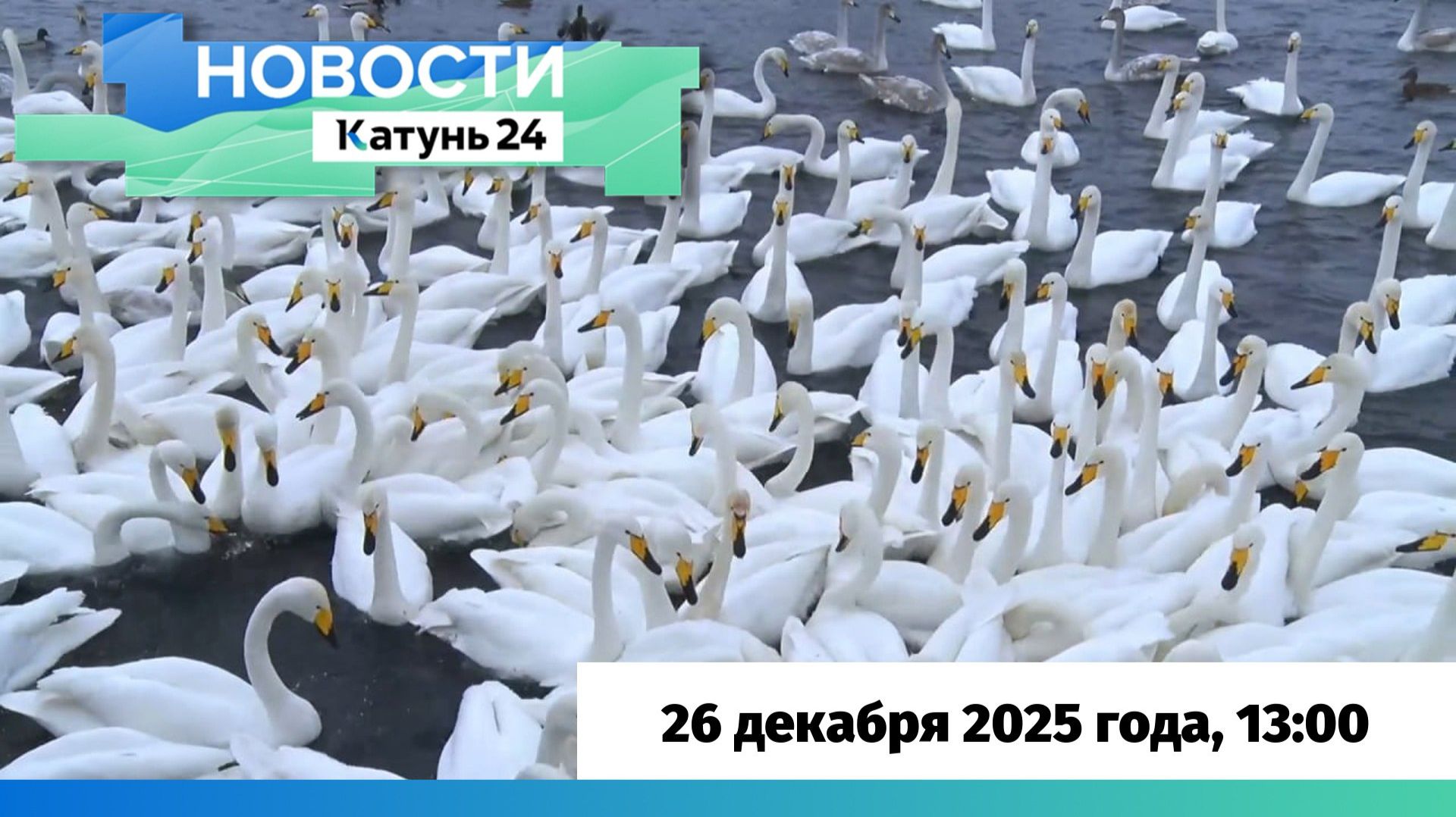 Новости Алтайского края 26 декабря 2025 года, выпуск в 13:00