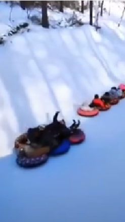 Добрых предновогодних выходных! Пусть ваши хлопоты будут успешными, а отдых веселым!