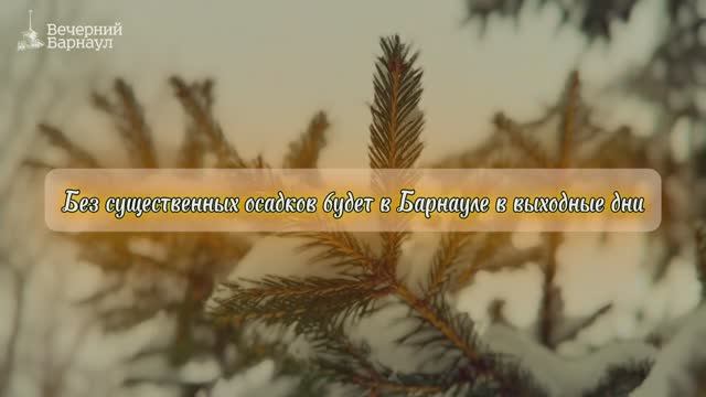Без существенных осадков будет в Барнауле в выходные дни