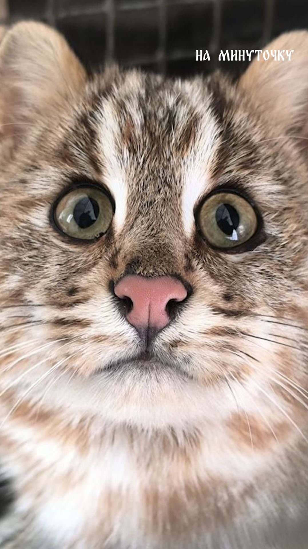 ❤️ Новое детское отделение открыли в лечебном корпусе Фокино