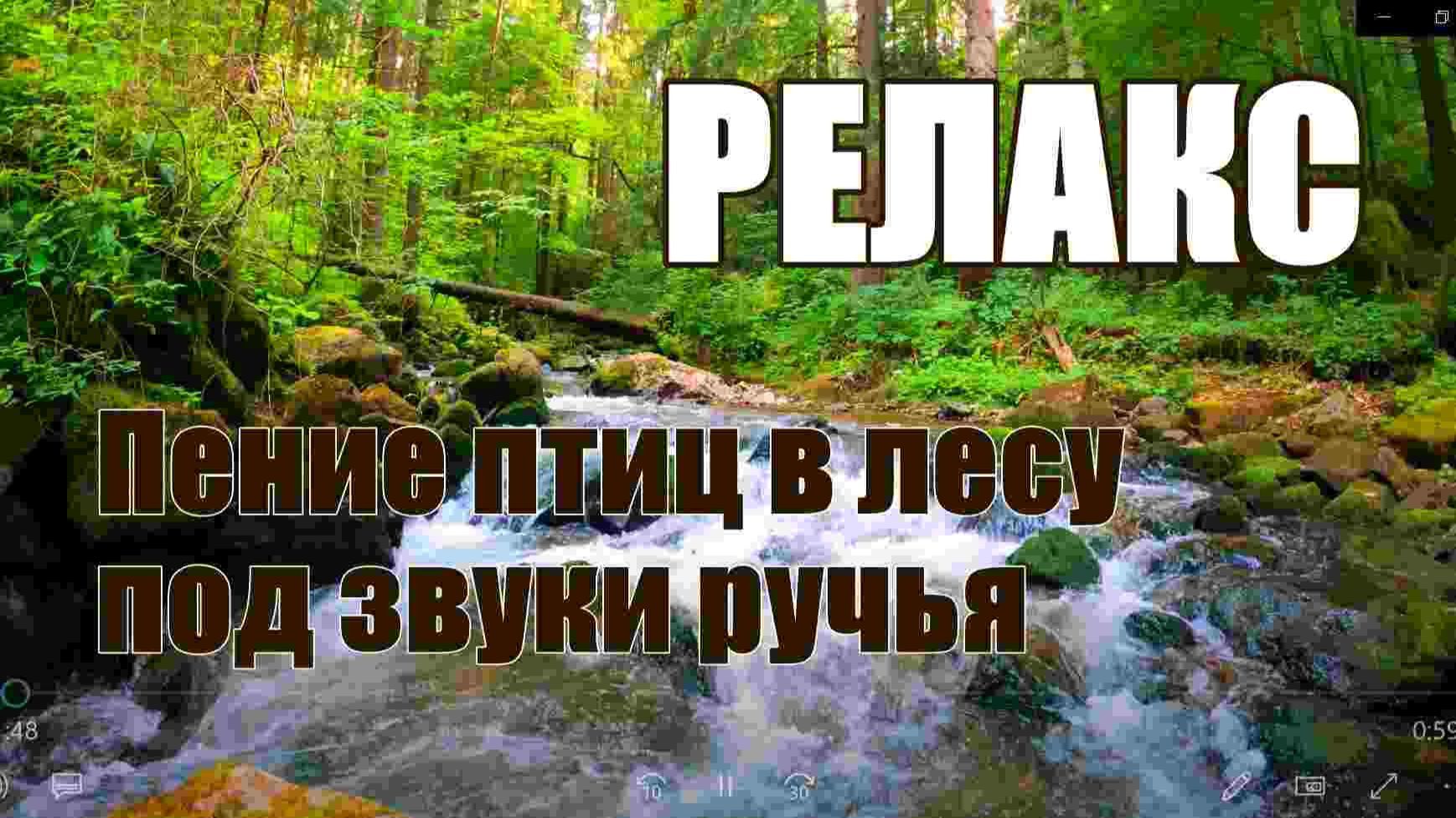 Успокаивающие звуки природы |Звуки леса, пение птиц, лесные ручьи |для релаксации