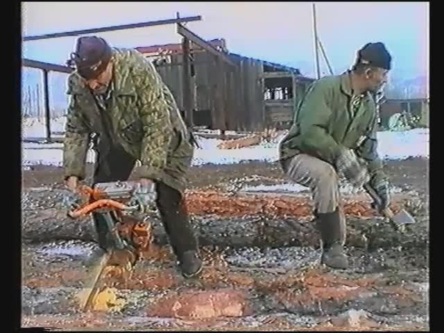 Туранскому лесничеству 50 лет 1997г. Тува.