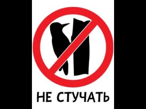 Тумсо Абдурахманов заявил о намерении "стучать" на своих соотечественников