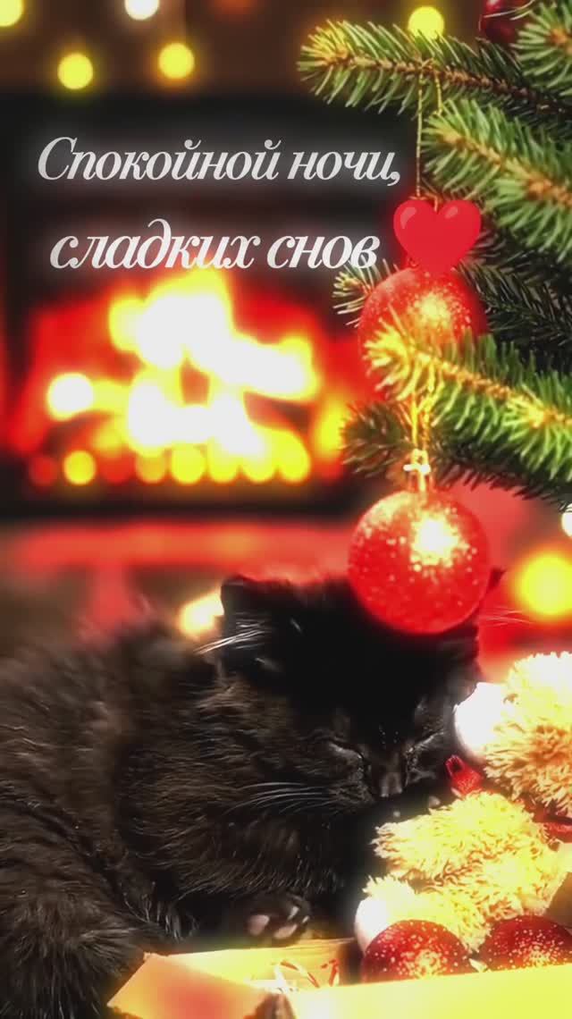 🎄🐱 Сладких снов!