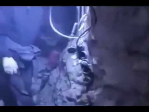 Марат и ковчег