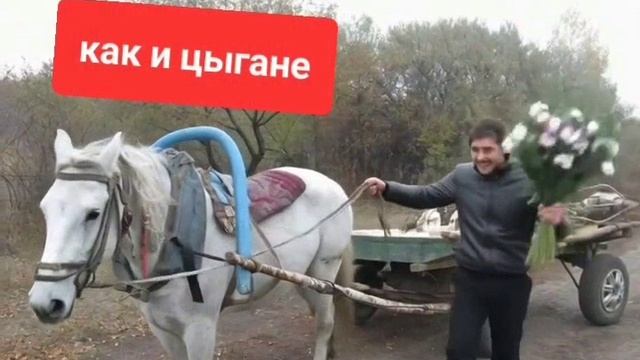 Поздравок с Годом Лошади