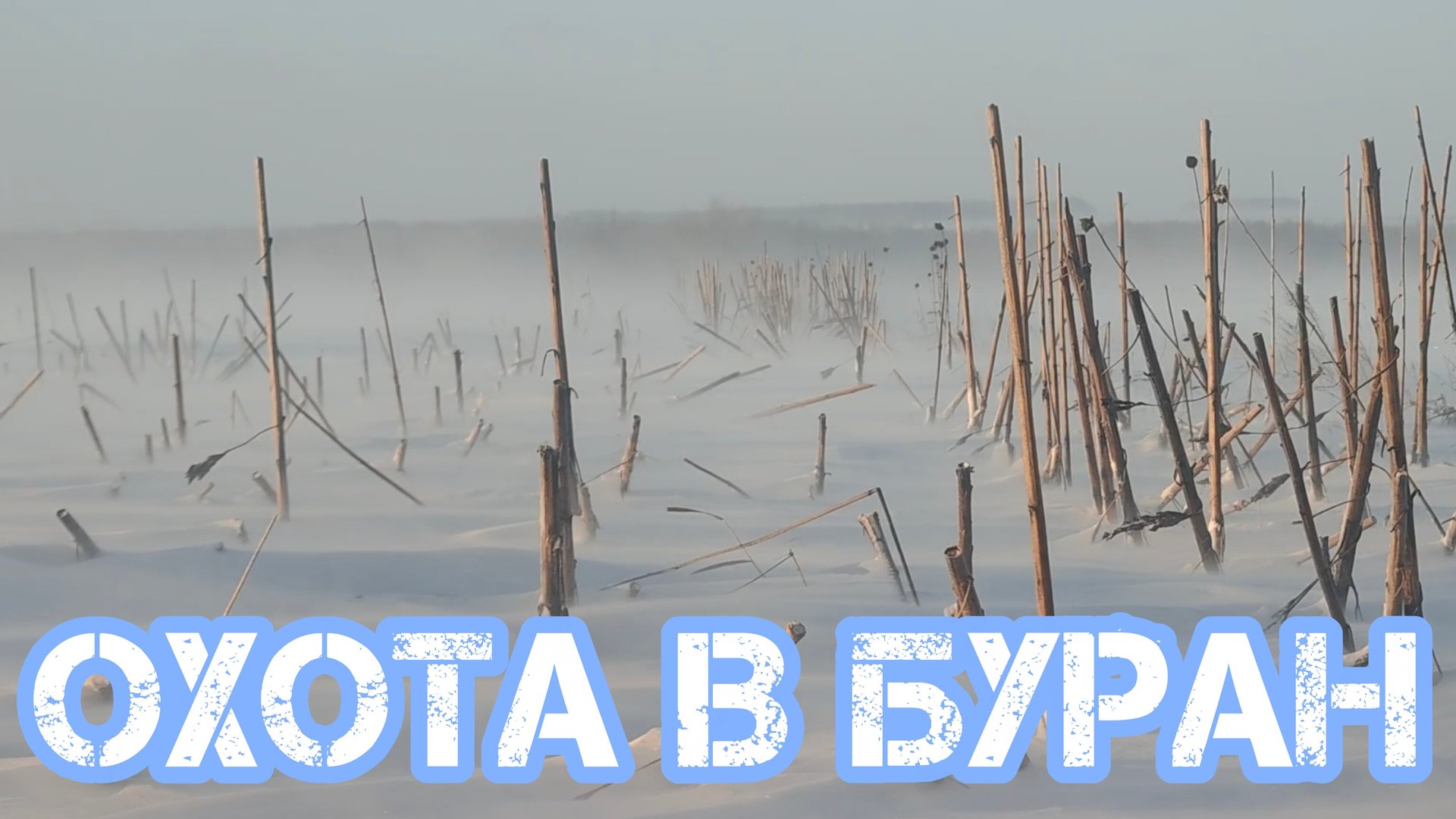 259-Охота на ЗАЙЦА. Охота в БУРАН.(14.12.2025)