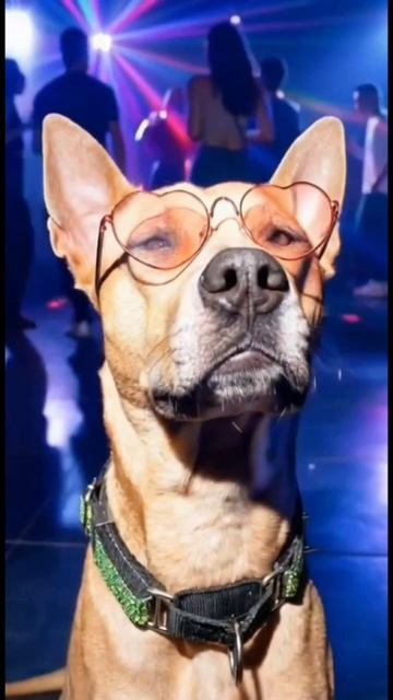 Я звезда, а ты не звезда! :)