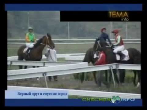 Верный друг и спутник горца. (ЧИ. Вып. 30)