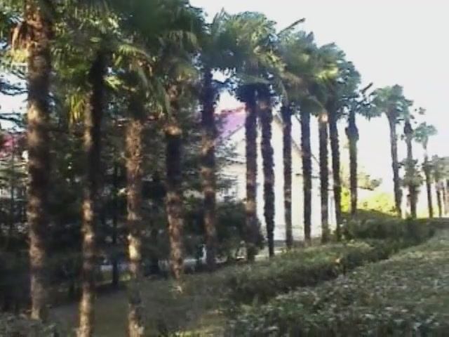 Сочи. Декабрь 2025 года. Военный санаторий "Лазурный берег". Моя прогулка по территории.