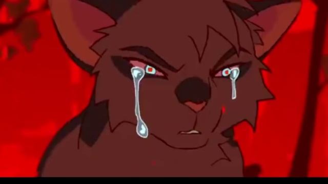 Warrior cats/Клип/Коты воители/