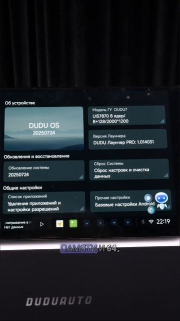 Hyundai Solaris 1 серая + Dudu 7