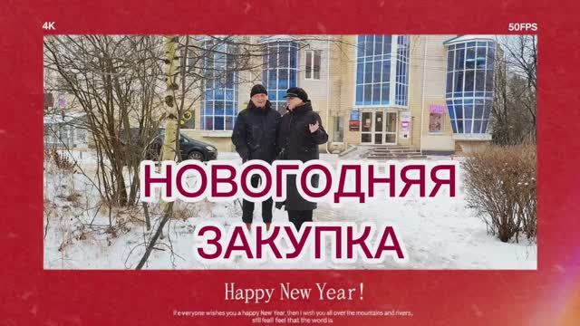 НОВОГОДНЯЯ ЗАКУПКА ПЕНСИОНЕРОВ. УТРЕННИК У ВАСИЛИСЫ.