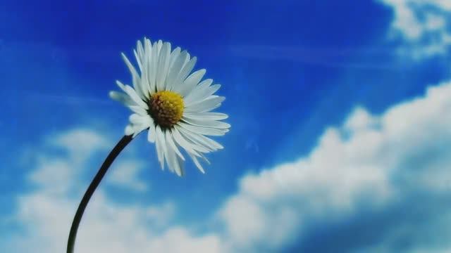 Песня Вера и любовь Красивые лучшие душевные песни о любви