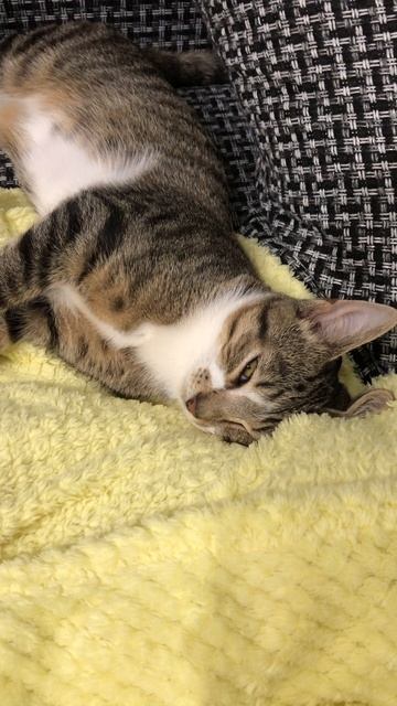 Титуса рубануло😹