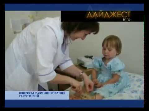 Вопросы разминирования территорий (ЧИ. вып 9)