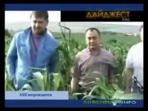 АПК в Чечне возрождается. (ЧИ. Вып. 33)
