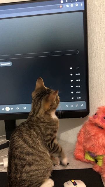 Титус тоже ставит лайки😻