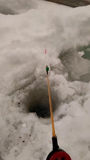 Рыбалка в палатке