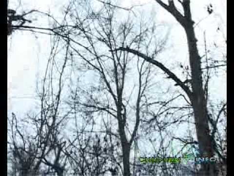 Кавказская война (фильм 3   "Эпоха Таймиева и Ермолова" )