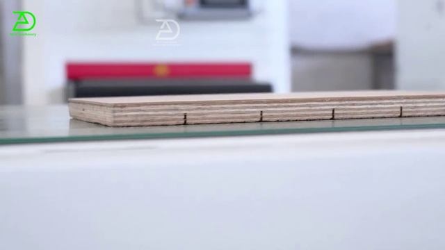 Автоматический двухсторонний станок для снятия заусенцев с древесины ADV508-RR-RR