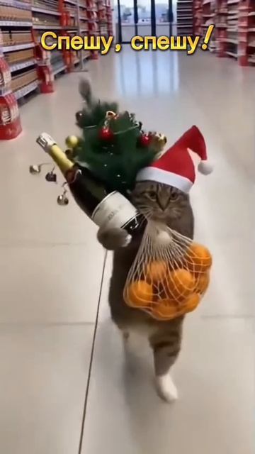 Новый год совсем близко!