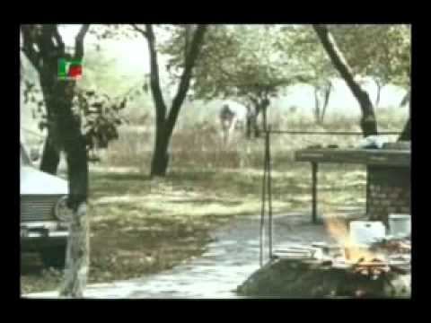 х.ф. Когда отзовется Эхо