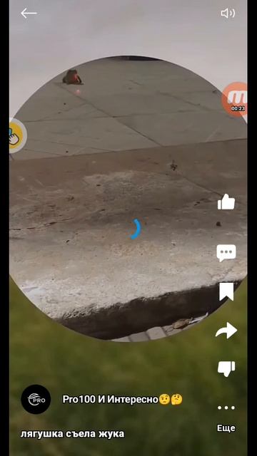 подпишитесь на этот канал