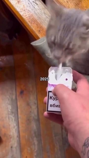 🖌🥂А как прошёл ваш 2025 год?