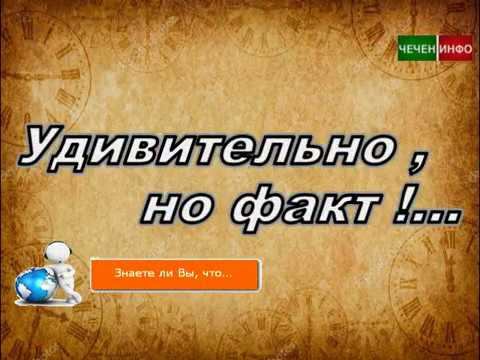Чеченские хроники: Чеченцы и фамилии Саратов и Ростов