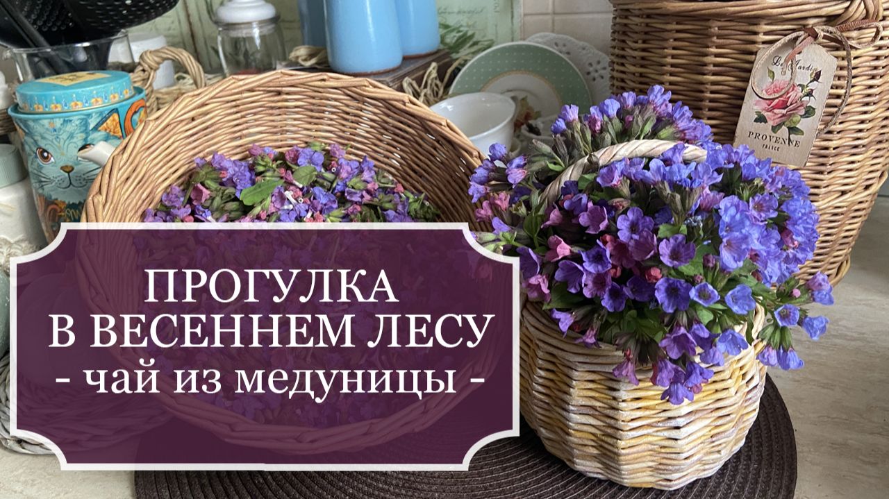 Прогулка в весеннем лесу - сбор медуницы для чая