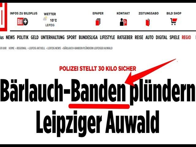 В Лейпциге засветились чеченские сборщики черемши!