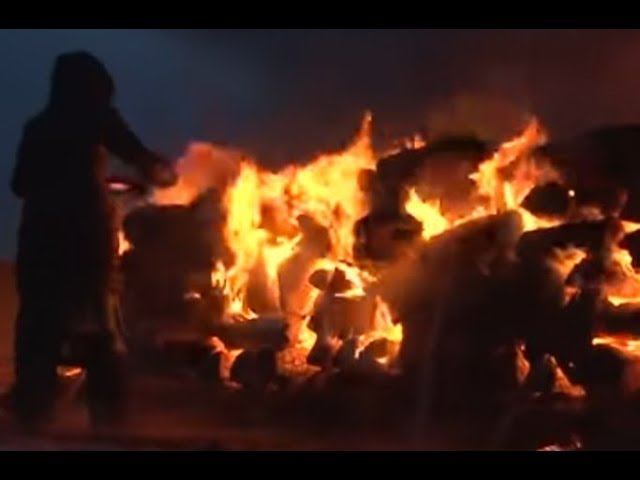 Гениальный ход: Вали все на Кадырова!