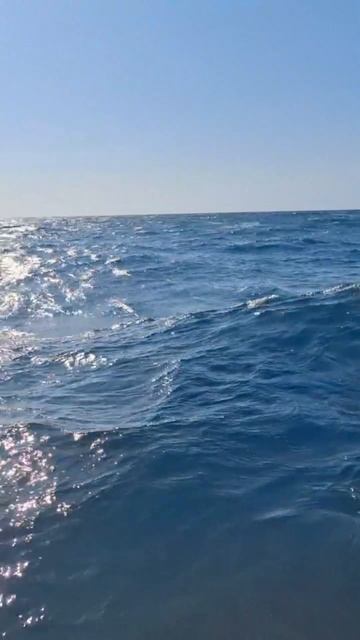 Рыбалка на тунца, Итуруп