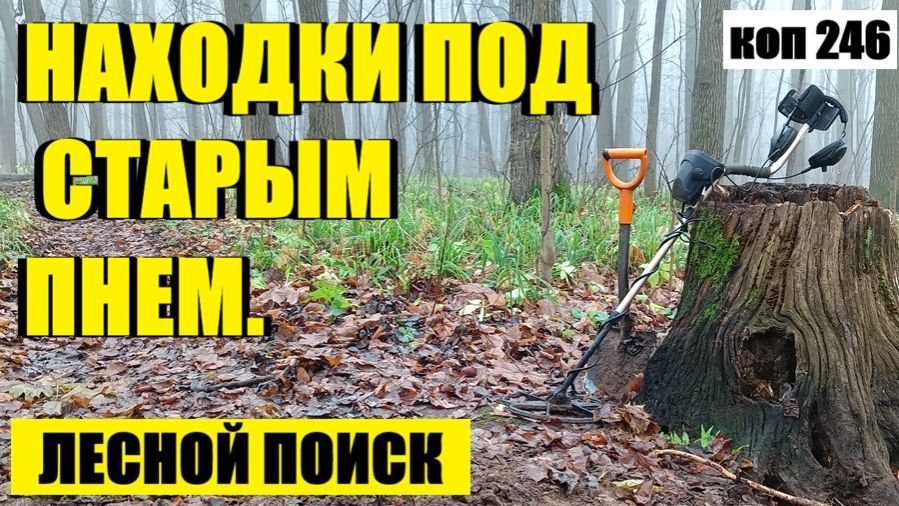 ТАЙНЫ ЗАБЫТОЙ ТРОПЫ.  коп 246