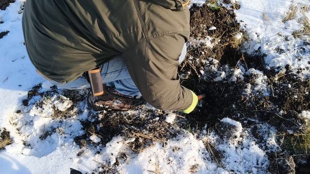 А думали, что монета #поискмонет #монеты #equinox900 #equinox #minelab #металлоискатель #монеты #47