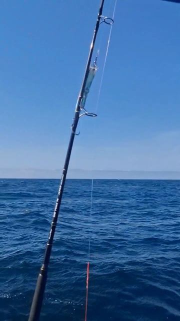 Рыбалка на тунца, Итуруп