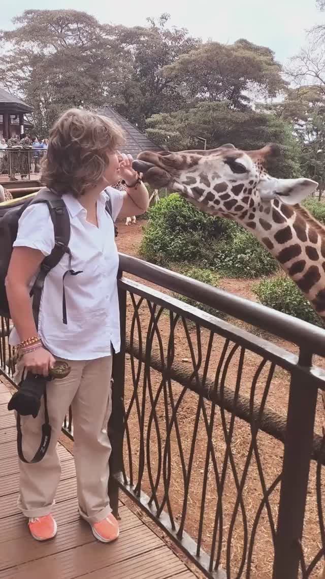 Кормлю жирафа!