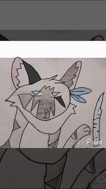 На конкурс Овсянке